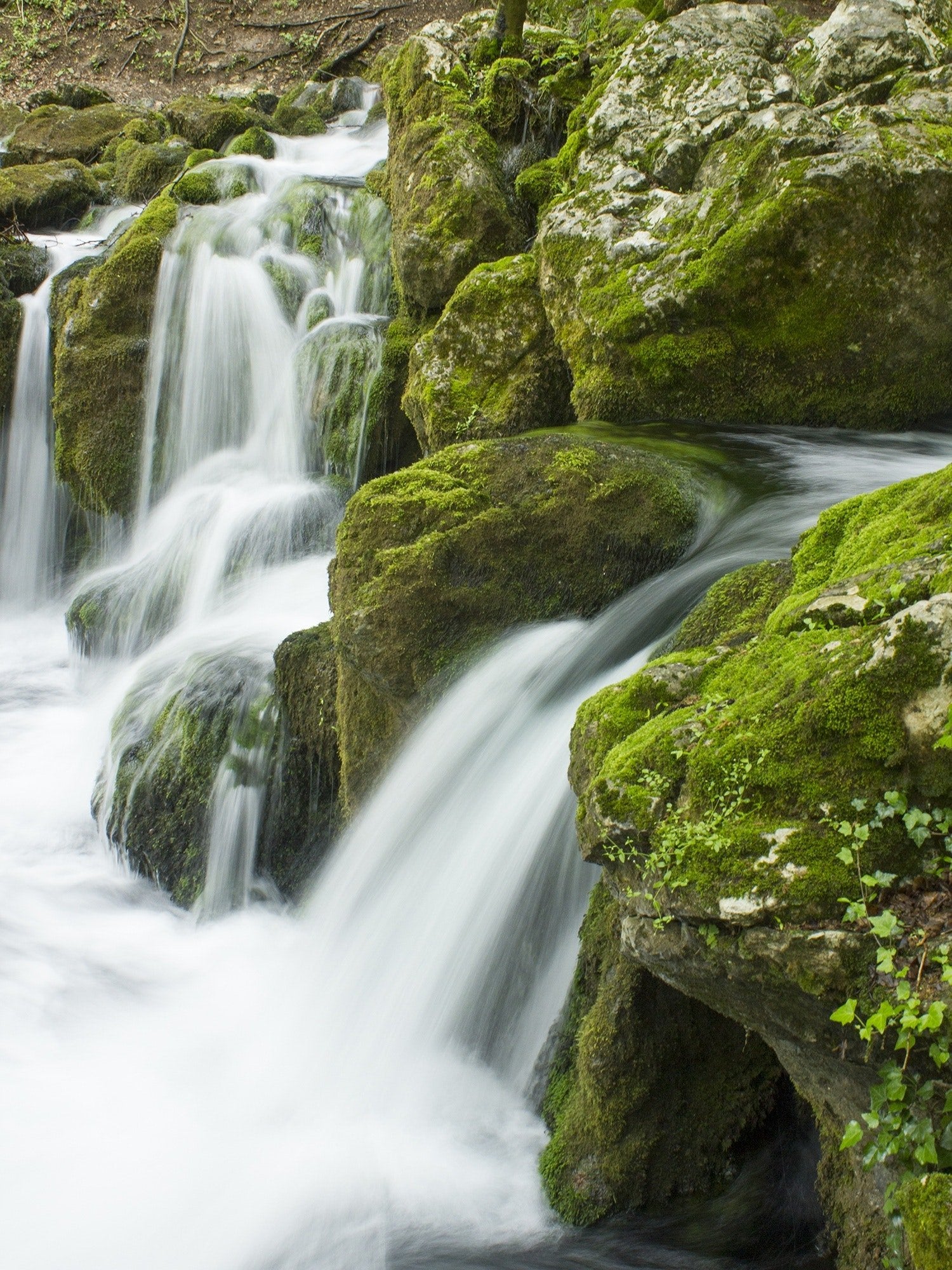 About Quality Water Part 2 – Natural Action