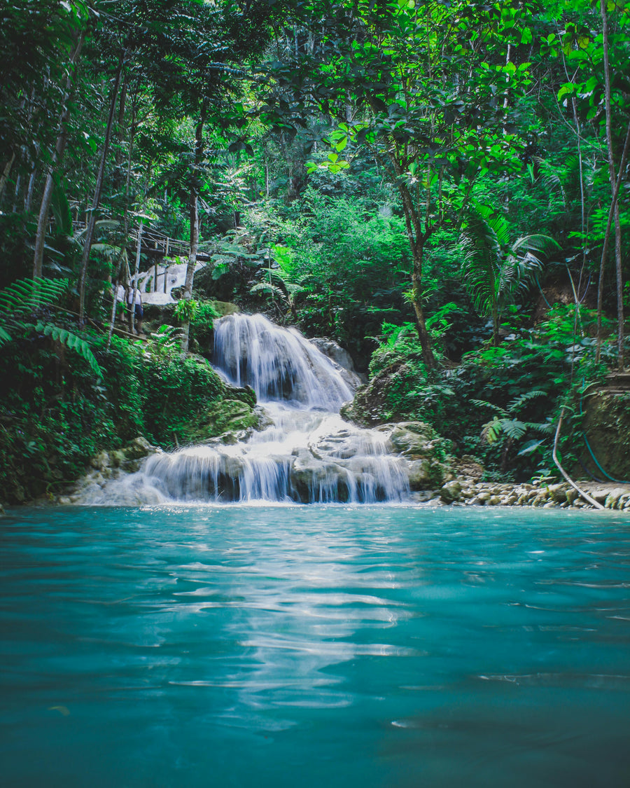 Natural Action Water Revitalization - Structured Water Solutions