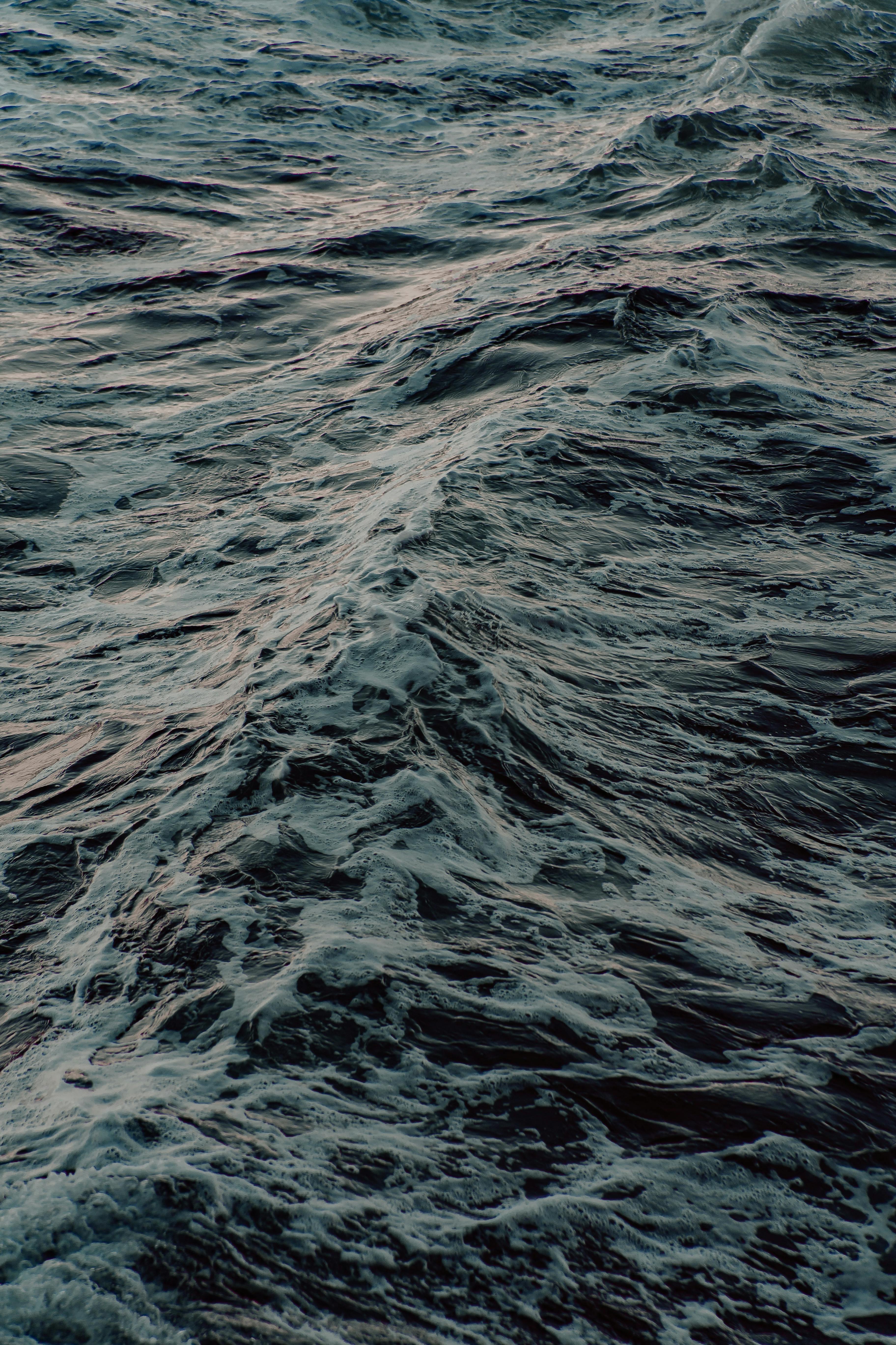 What Is Water? Is It Alive? – Natural Action