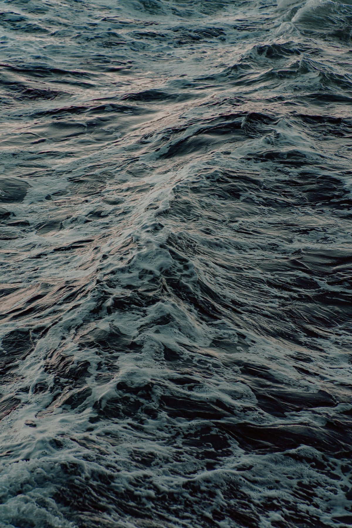 What Is Water? Is It Alive? – Natural Action