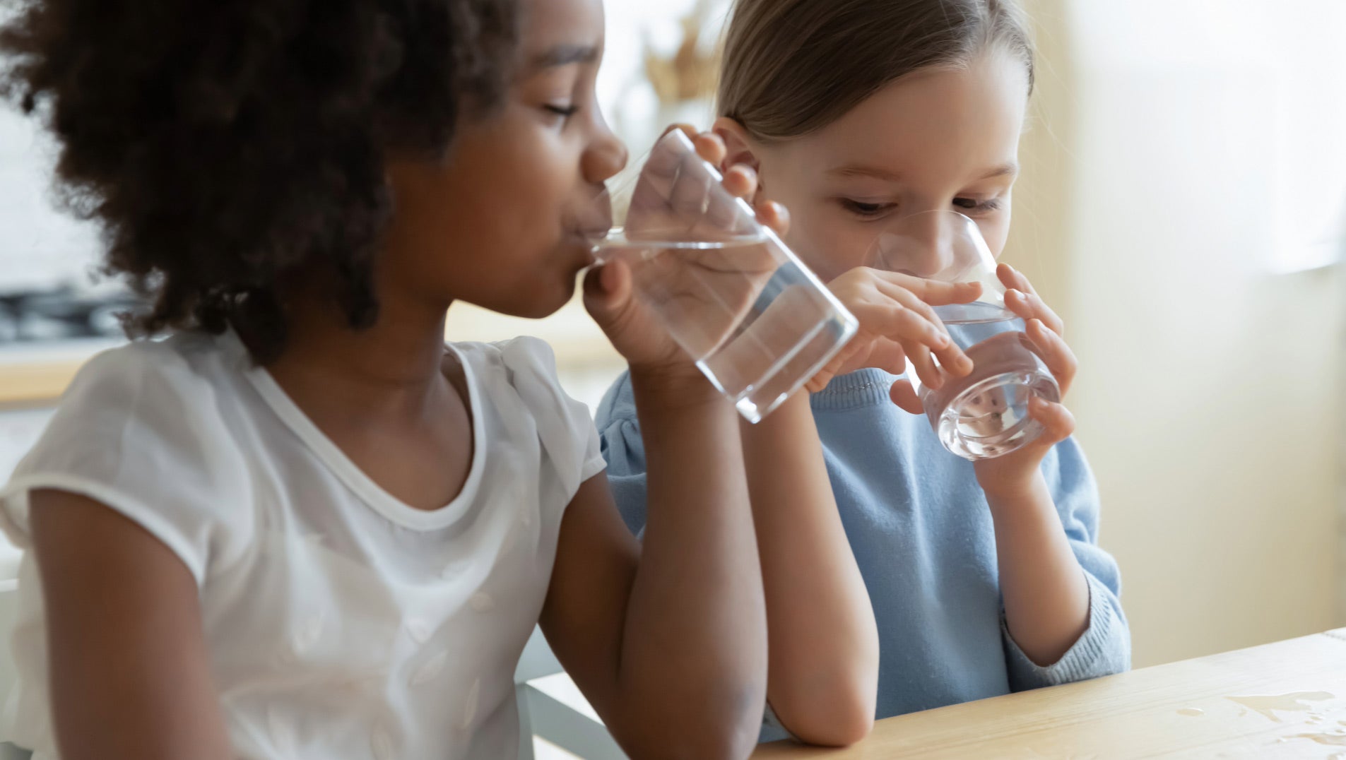 Best Water Structuring Devices to Buy – Natural Action