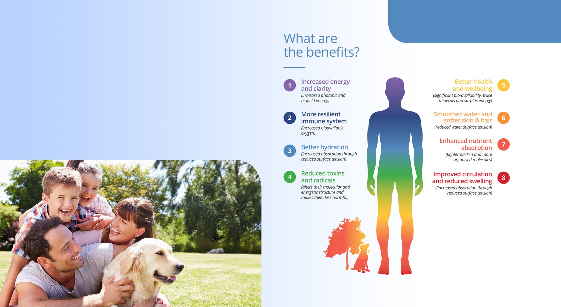 Natural Action Water Revitalization - Structured Water Solutions